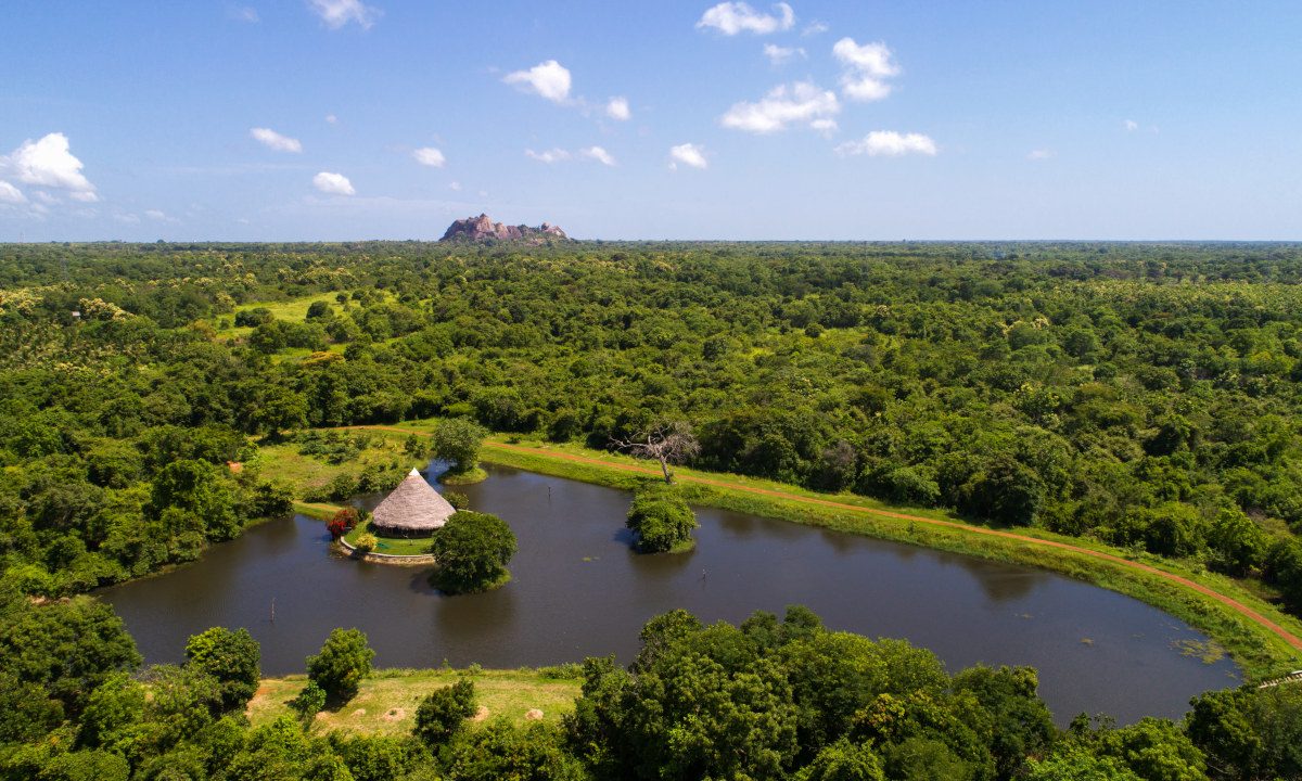 Our New Website, Designed for 2021 and Beyond - Nemo Travel