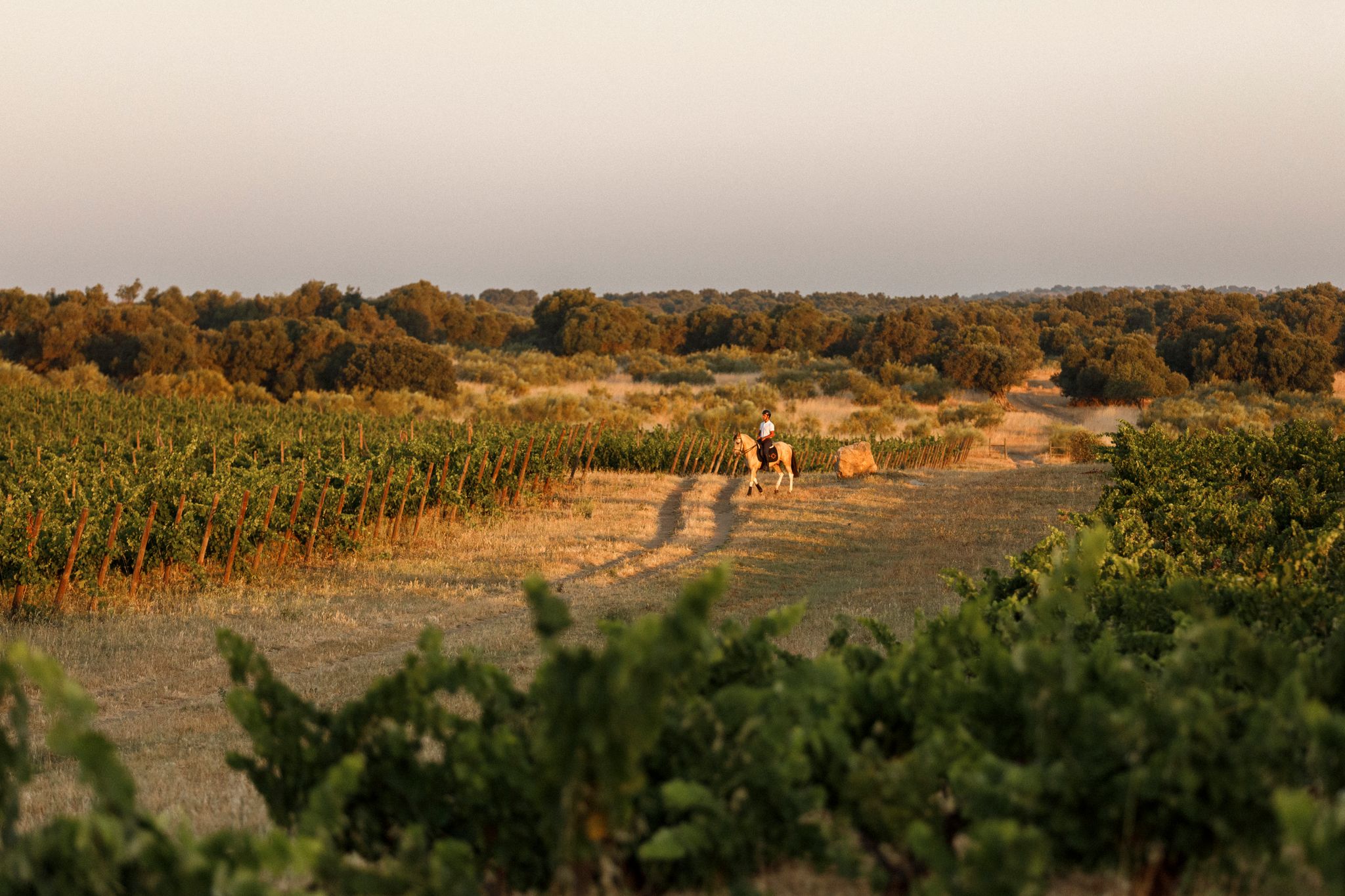 Where is Sunny in October? Our Top Destinations for October Sun - Nemo ...