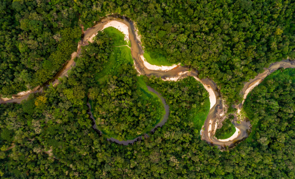 Top Tips and Must-Haves for the Colombian Amazon - Nemo Travel