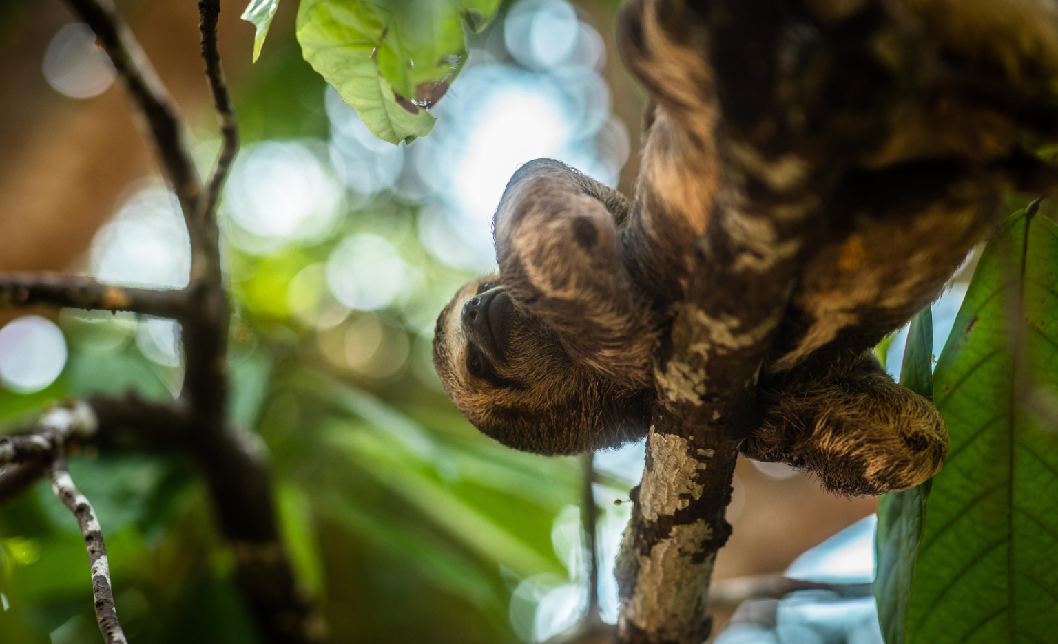 Top Tips and Must-Haves for the Colombian Amazon - Nemo Travel