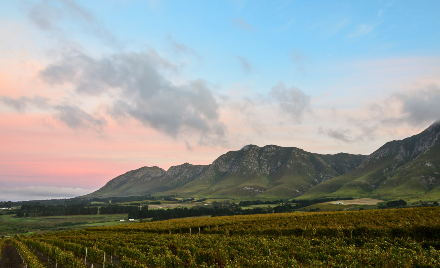 Where to Eat/Drink and What to do in Hermanus - Nemo Travel