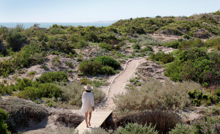Where to Eat and What to Do in Paternoster - Nemo Travel