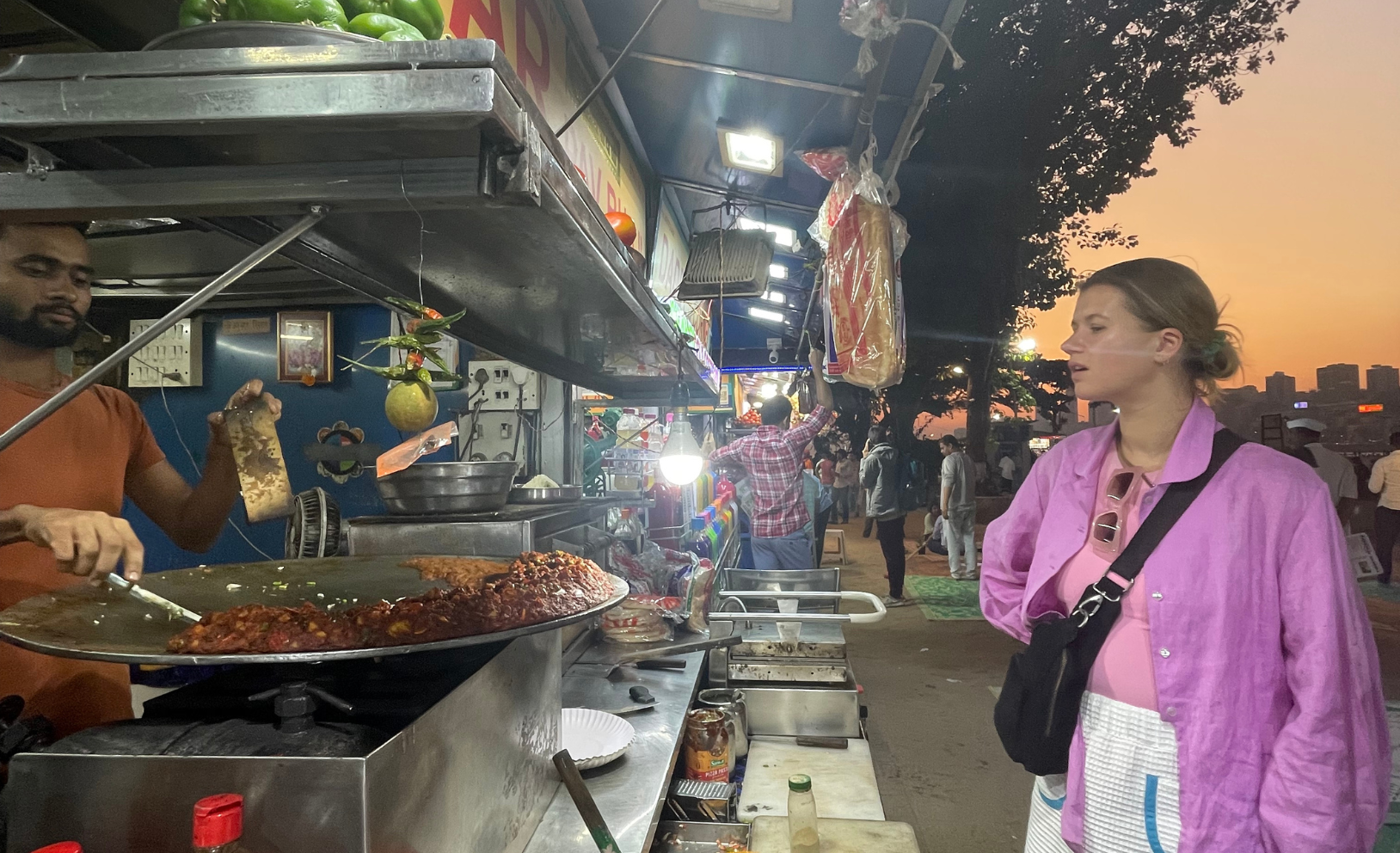 India e-Visa Guide - Nemo Travel