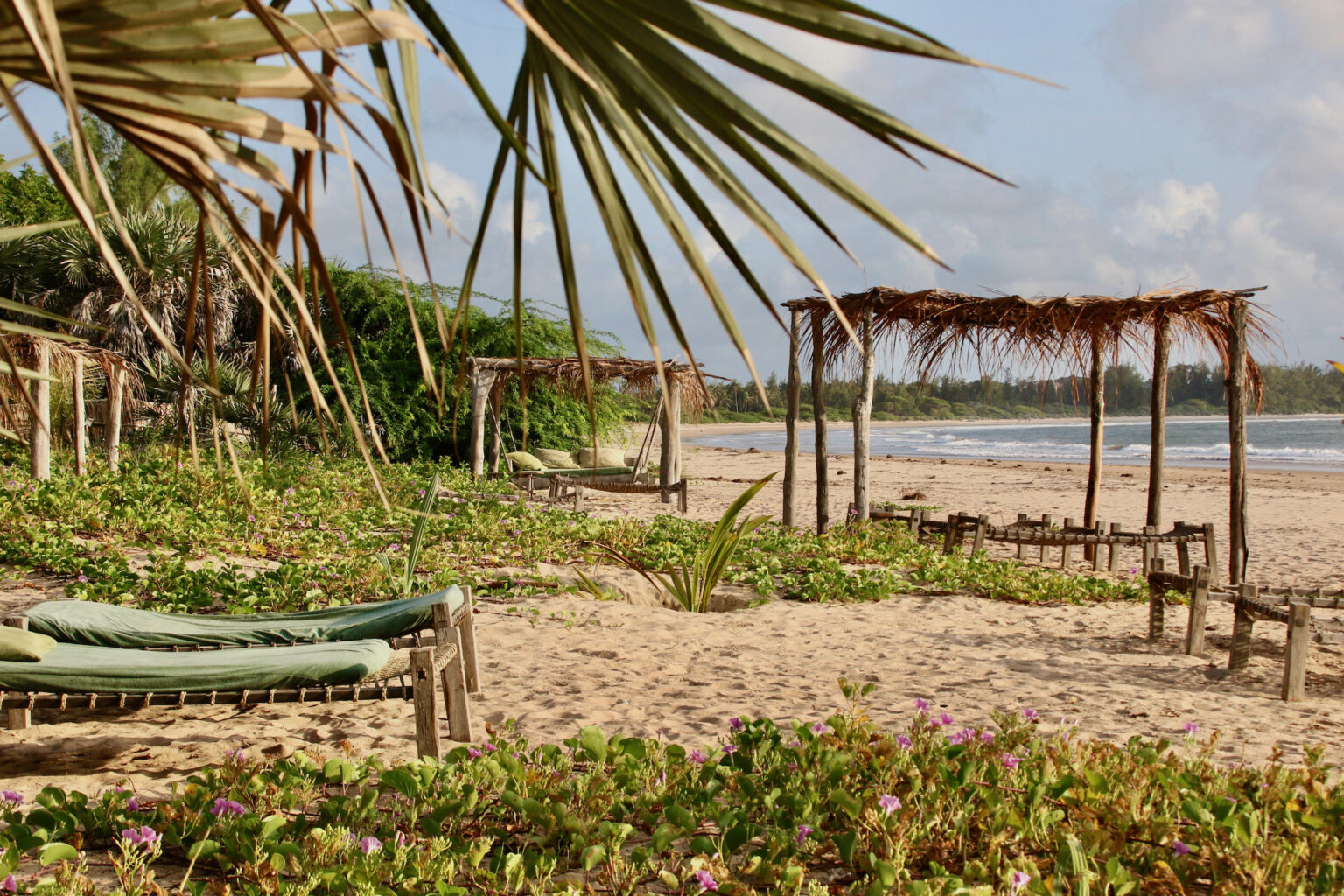 Kenya ETA Application Guide - Nemo Travel