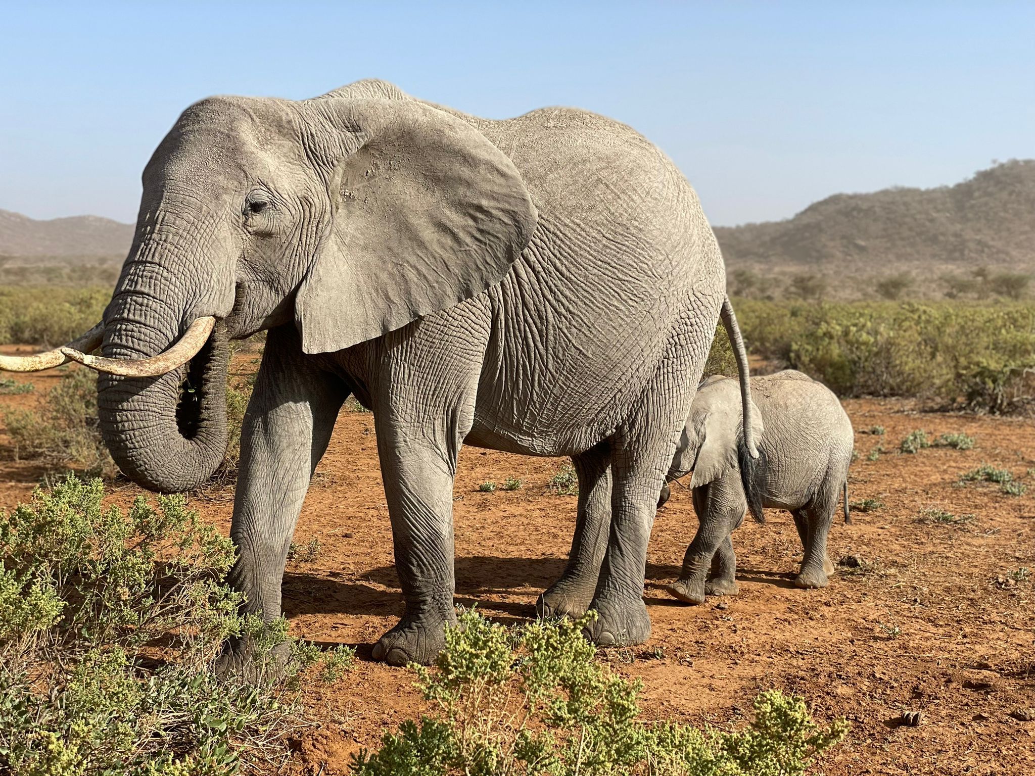 Kenya ETA Application Guide - Nemo Travel