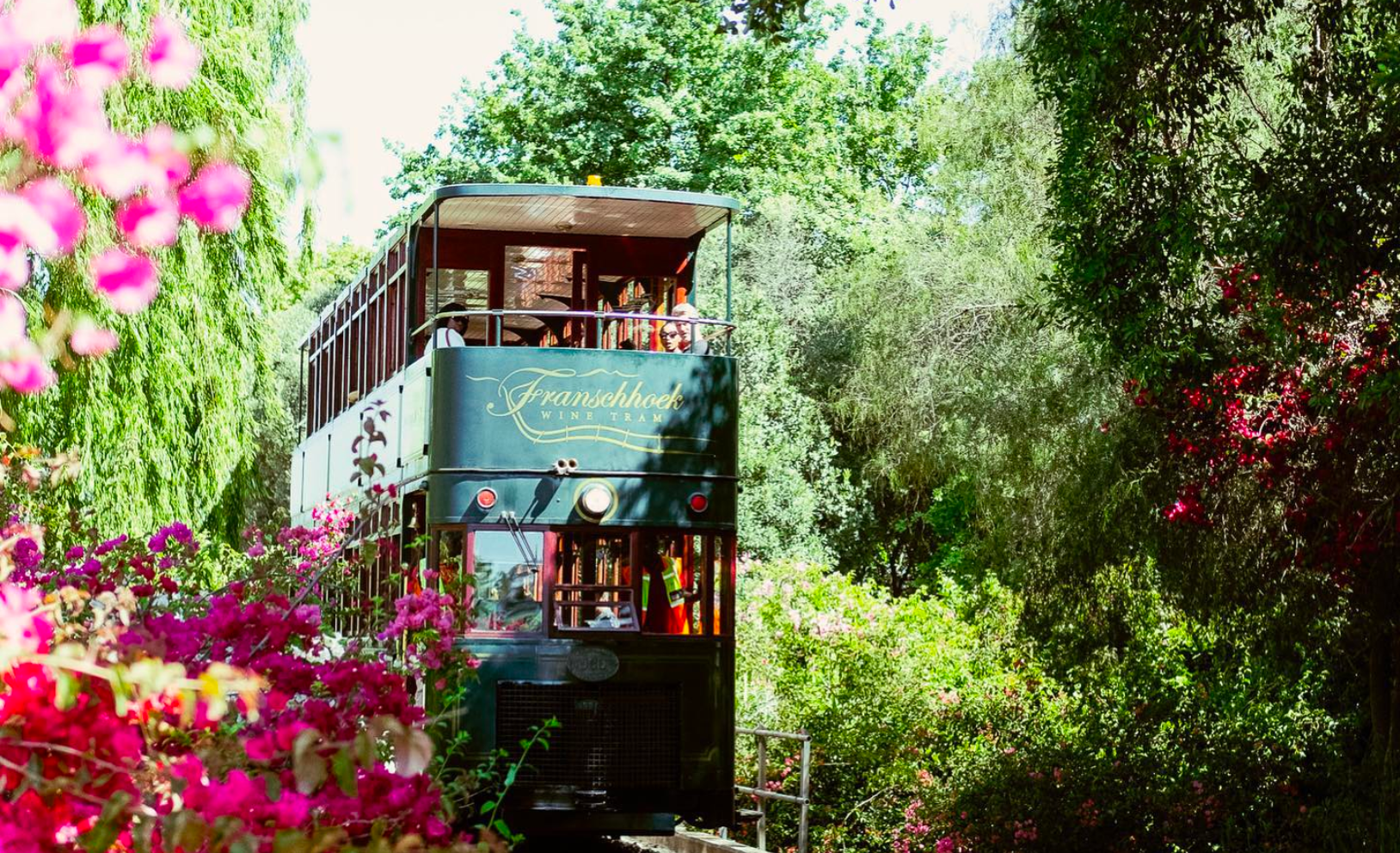 Ultimate Guide to The Franschhoek Wine Tram - Nemo Travel