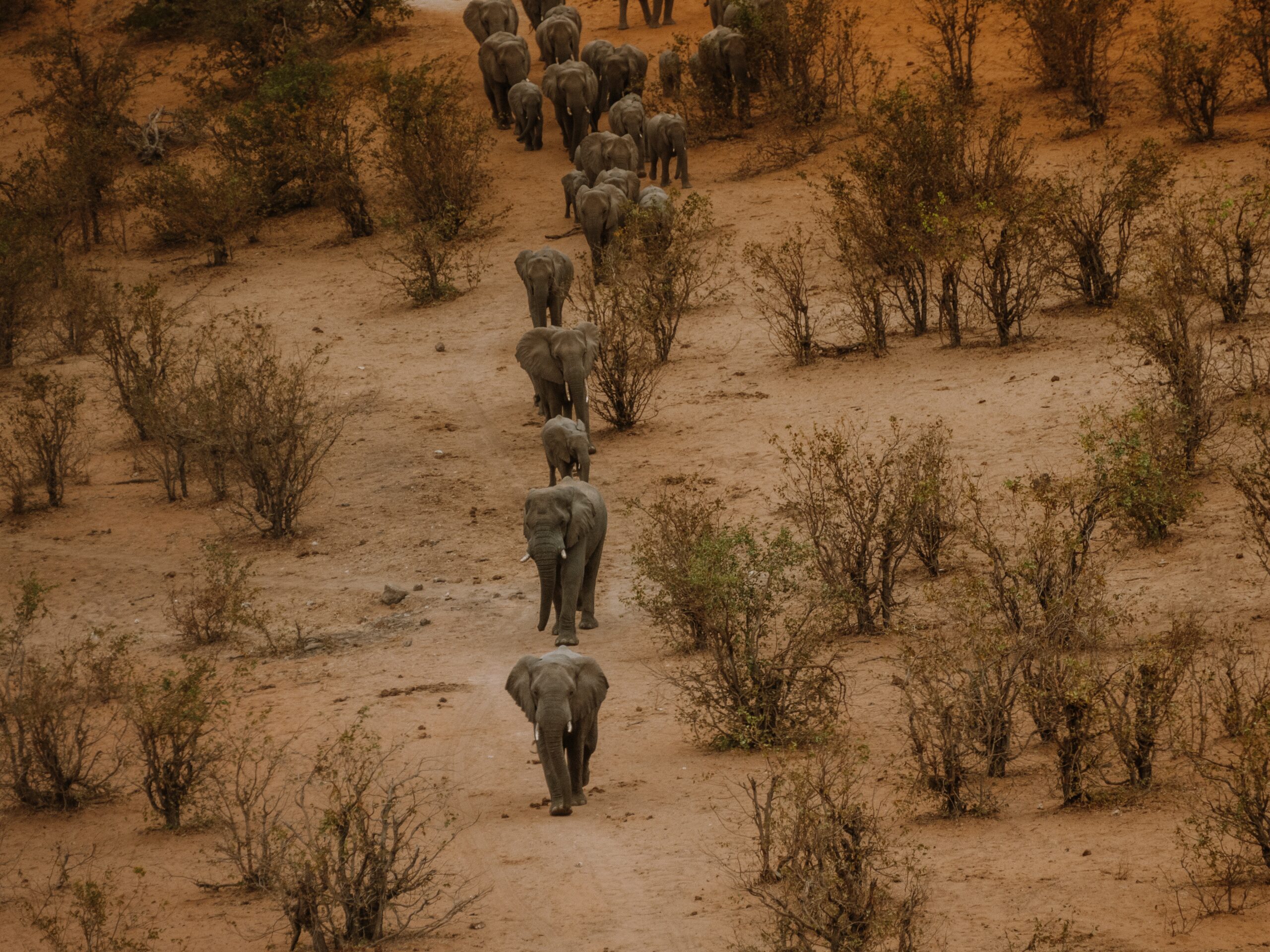 Zimbabwe Essential Information - Nemo Travel