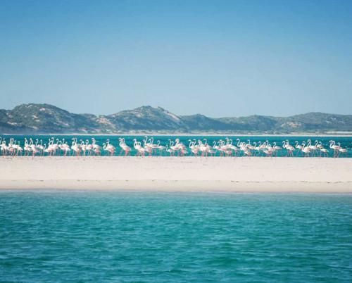 Nemo Travel - Travel Made Easy