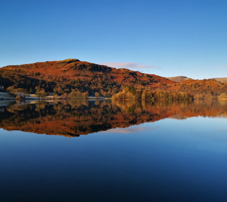 Nemo Travel - Travel Made Easy